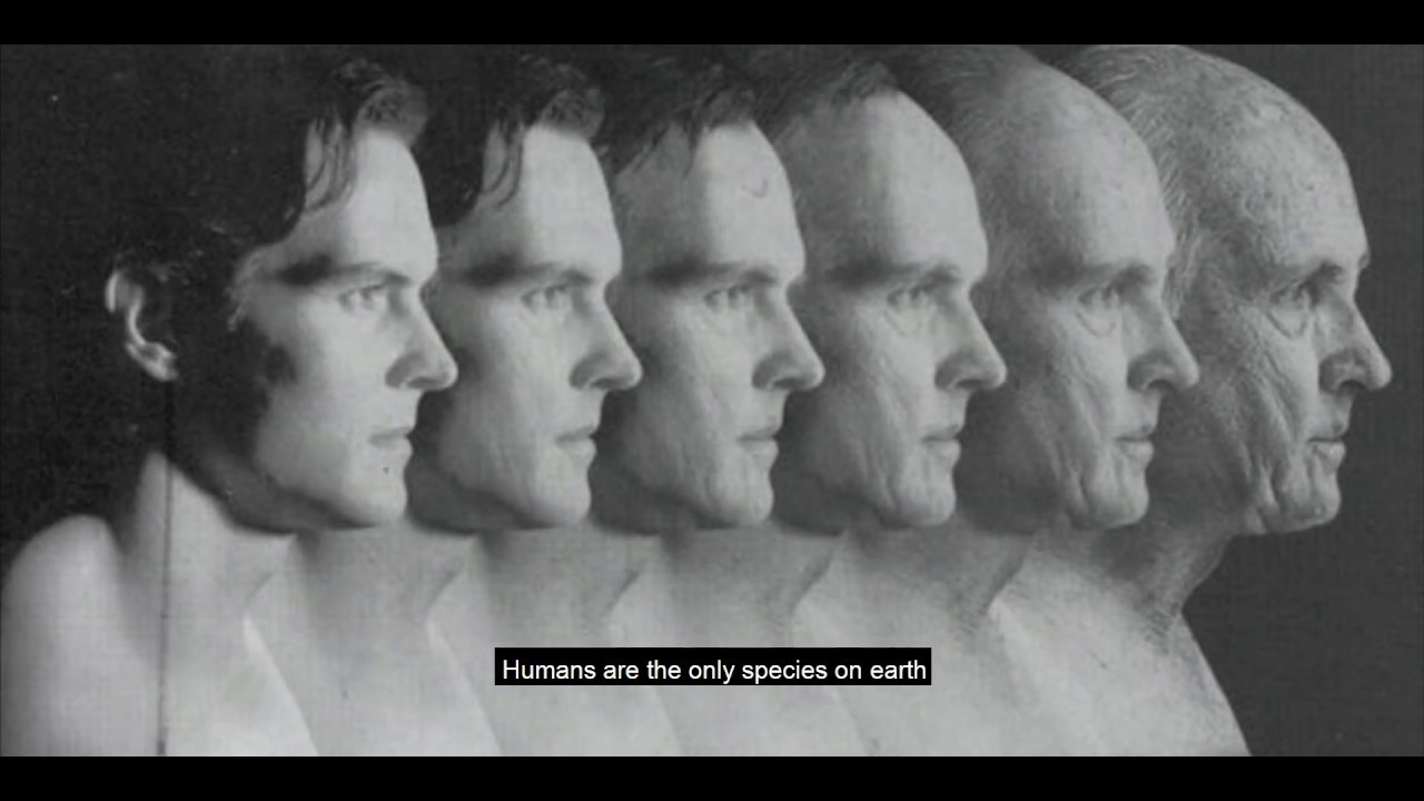 Prison Planet | Official Trailer | Sci-Fi Short Film 2019 | Tranza ...