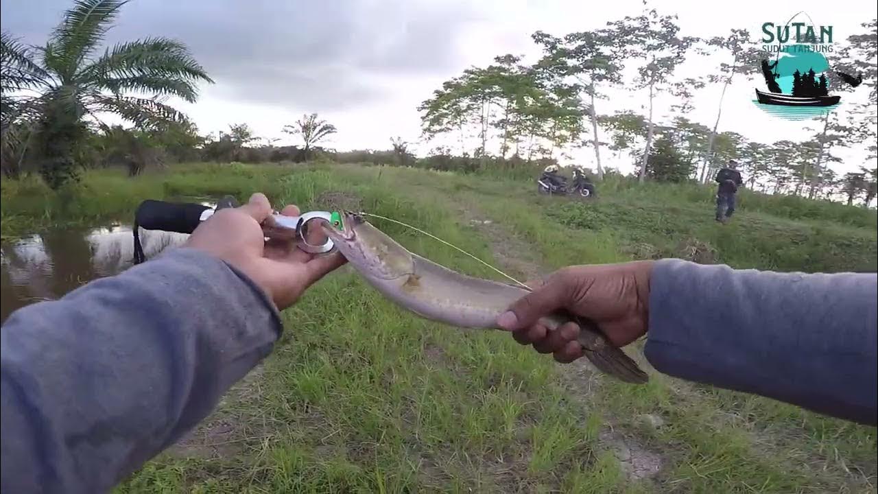 CASTING GABUS SORE HARI - YouTube