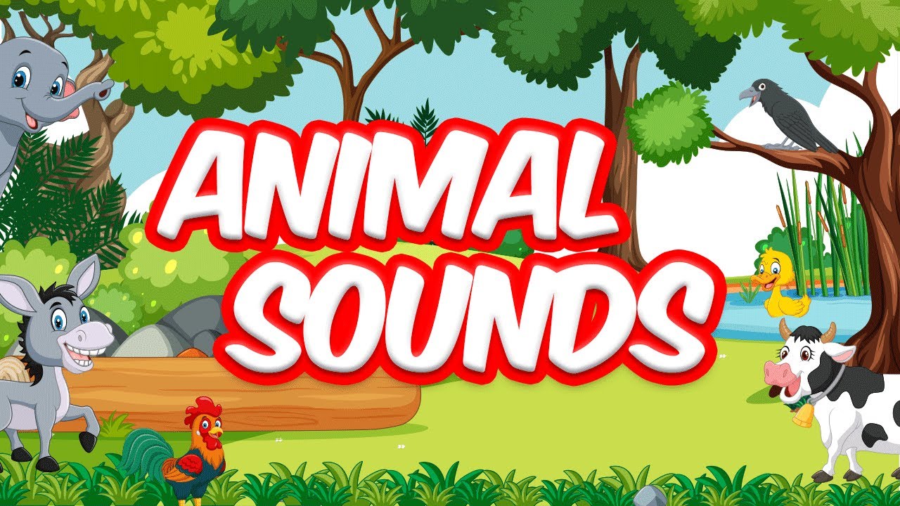 Fun Animal Sounds - Lion, Cow, Dog, Cat & More! | New Animated Video ...