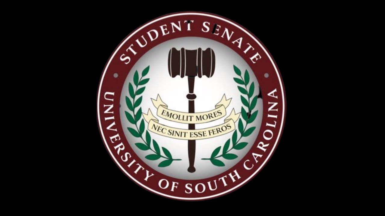 University of South Carolina Student Government 4/16/25 - YouTube