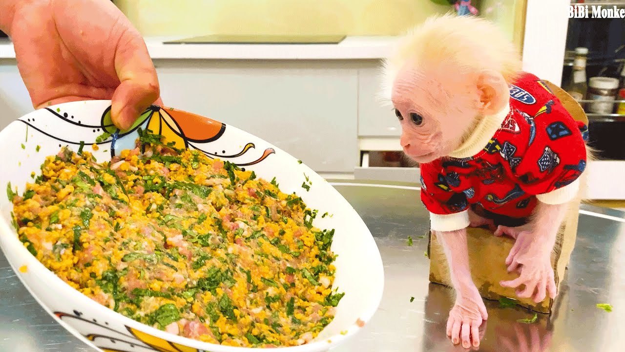 Bibi's sub kitchen makes delicious special dishes for meat - YouTube