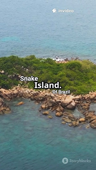 Snake Island: The Forbidden Land of Deadly Vipers!#SnakeIsland #digitalindigent #DeadlySnakes ...