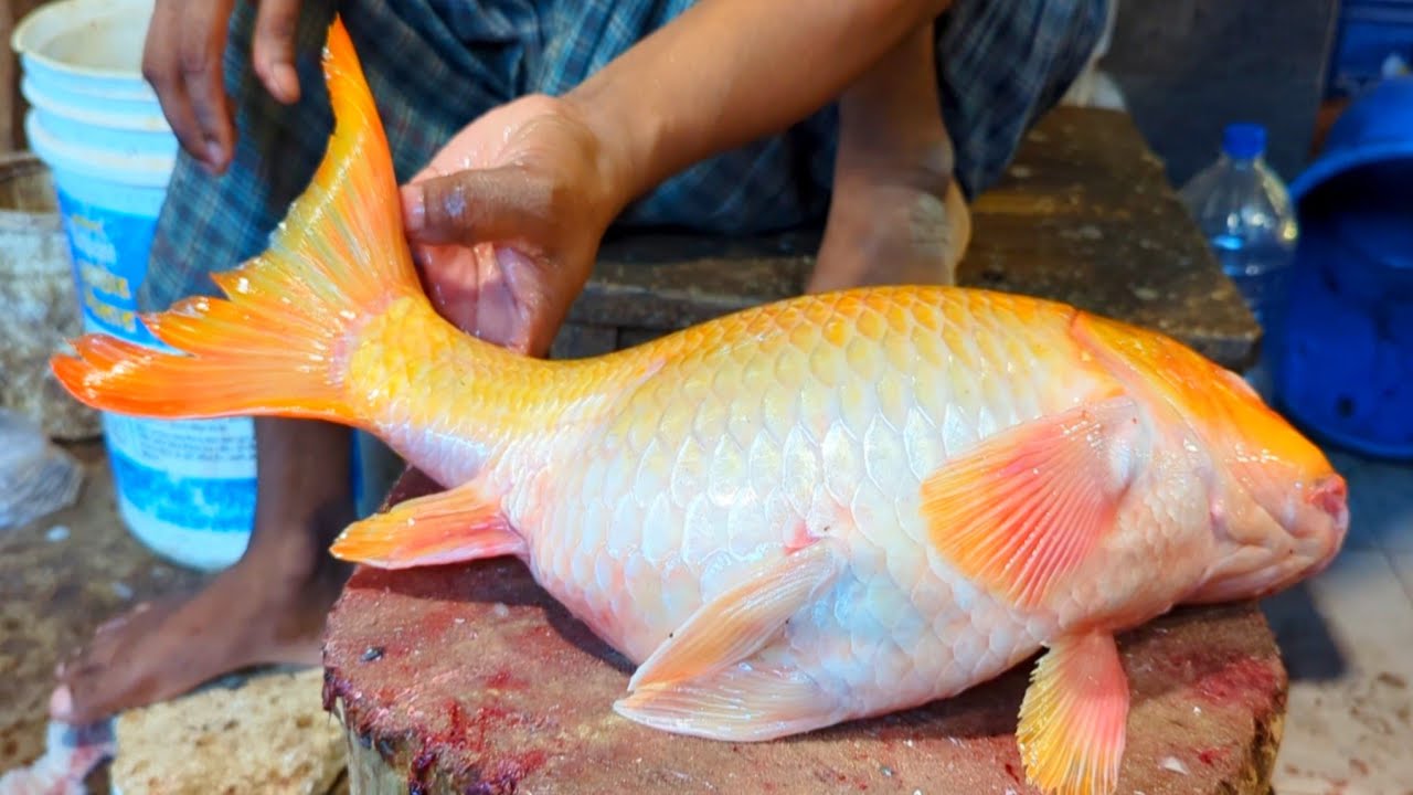 Amazing Giant Orange Carp Fish Cutting & Chopping In Dhaka Fish Market ...