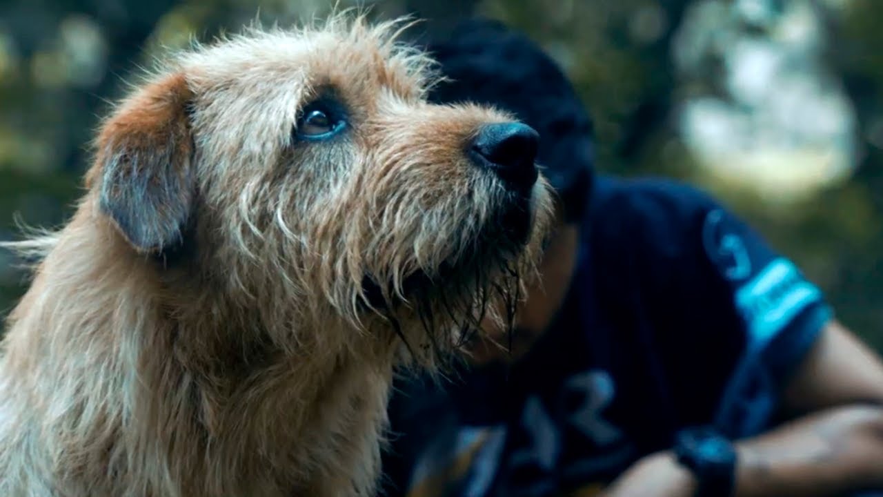 ARTHUR Una Amistad Sin Limites - Trailer Español Latino Sub 2024 - YouTube