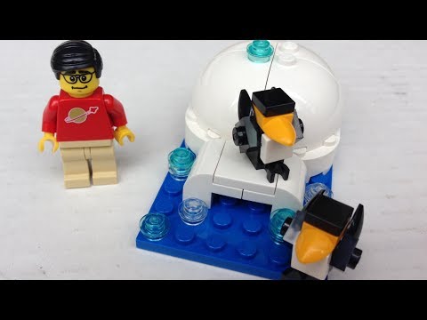 LEGO IGLOO - Monthly Mini Model Build set 40061 Jan 2013 REVIEW - YouTube