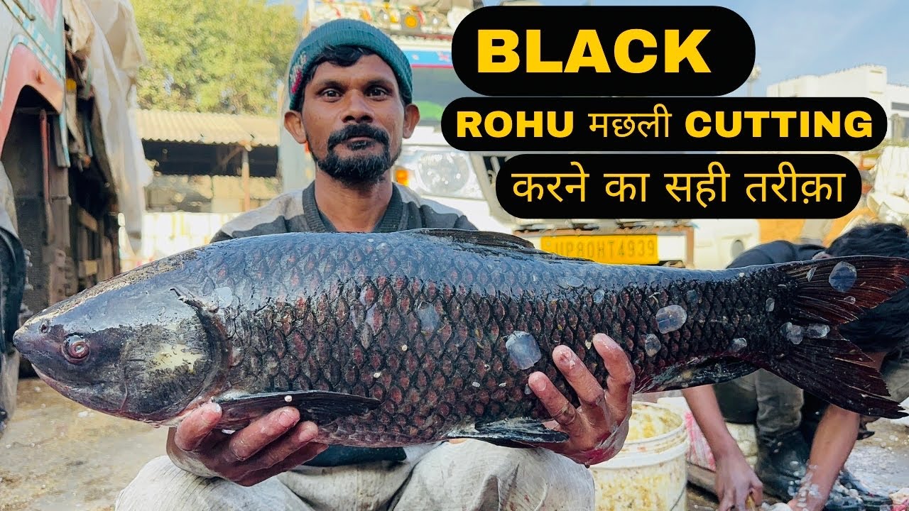 Amazing Fish Cutting Skills | Big Black Rohu Fish Cleaning & Cutting By ...