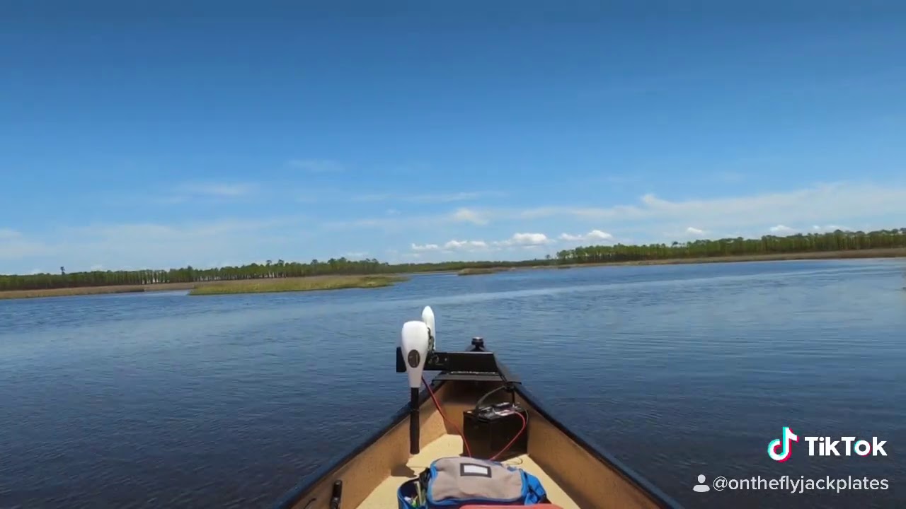 Florida Marsh Run - YouTube