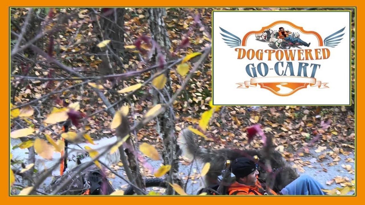 Dog Cart | Urban Mushing the D&L Trail - Part 10 | Dog Powered Cart ...