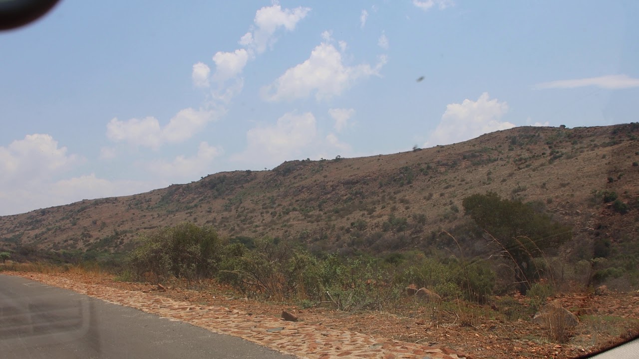 Suikerbos Nature Reserve - 25/10/19 - YouTube