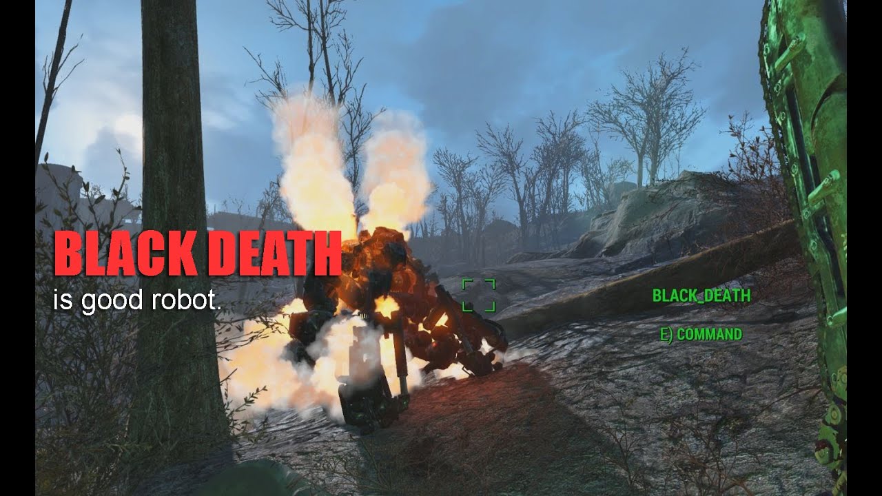 Fallout 4 Robot Companion - Good Robot - YouTube