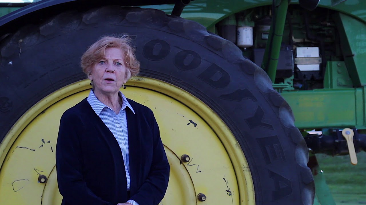 Ann Fields 03 - YouTube