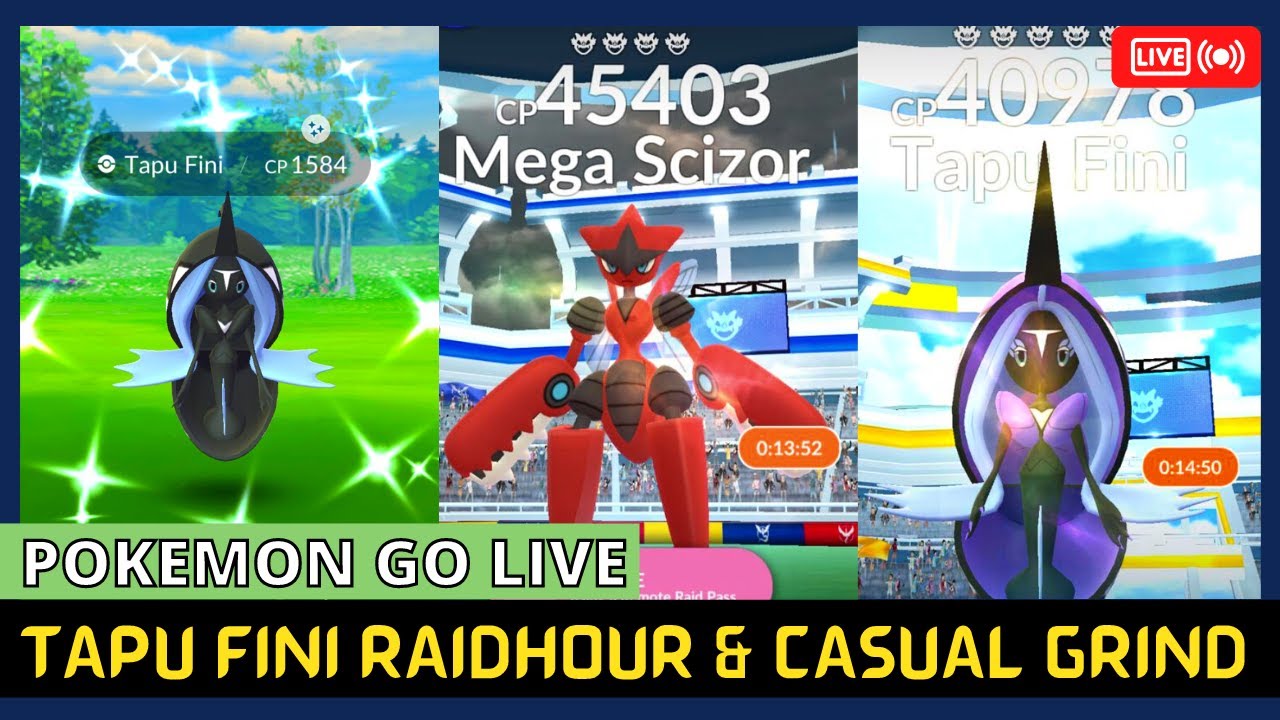 🔴 Tapu Fini Raid Hour Live - YouTube
