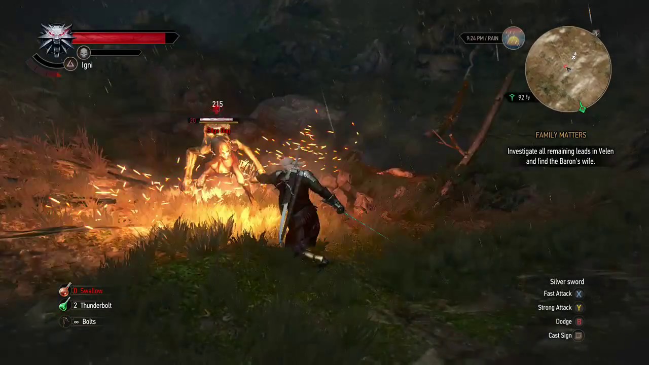 witcher 3 (lvl 20 water hag hunt) - YouTube