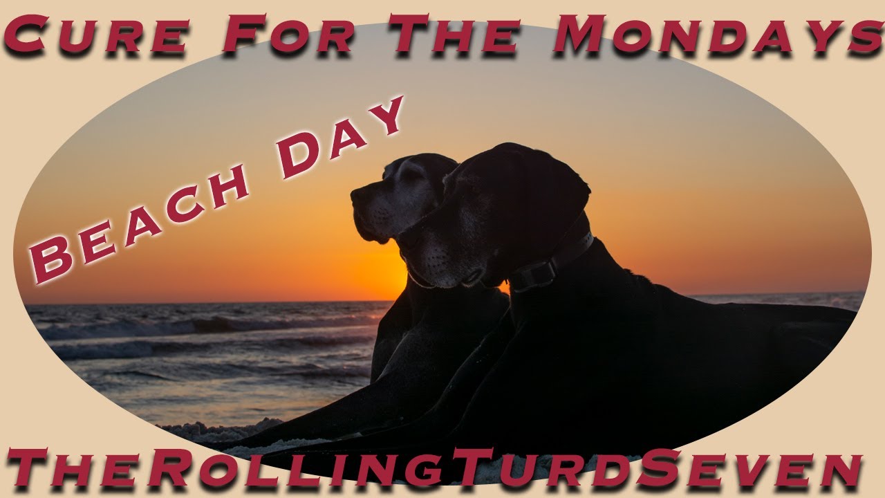 Cure For The Mondays with The Rolling Turd Seven at Panama City Beach ...