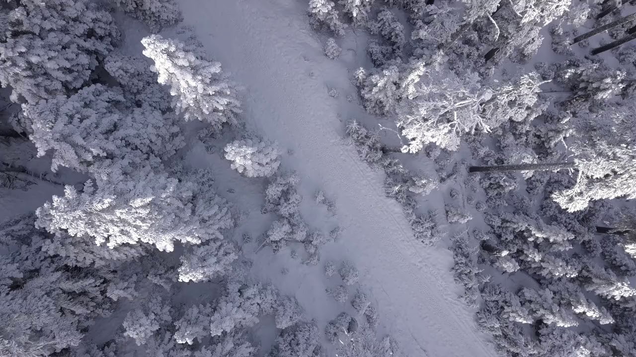 Air Drone Snow Forest Deep Ambient Calm Music - YouTube