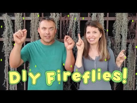 How To Make Fireflies From Lights On The Wall