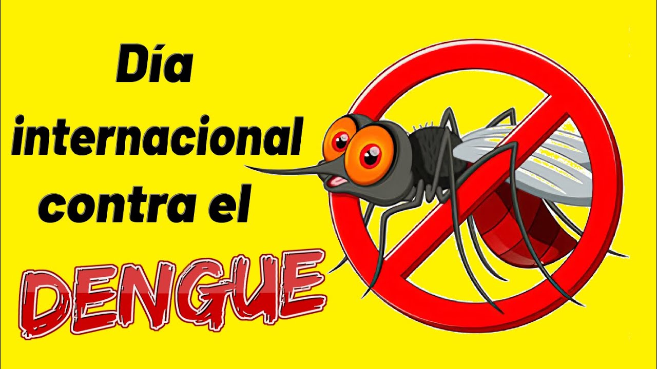 ¿Qué es el DENGUE? ║ Tipos de Dengue, síntomas, transmisión y ...