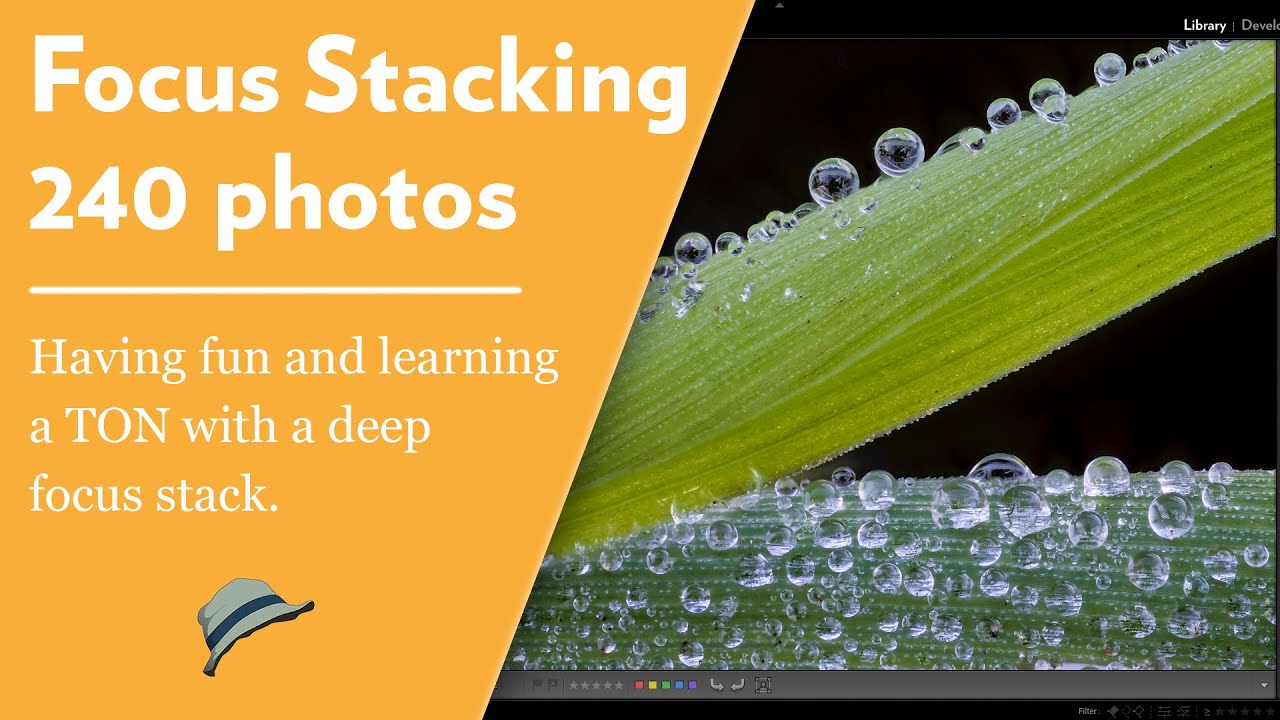 Flying by the seat of my pants with a 240 frame deep focus stack - YouTube