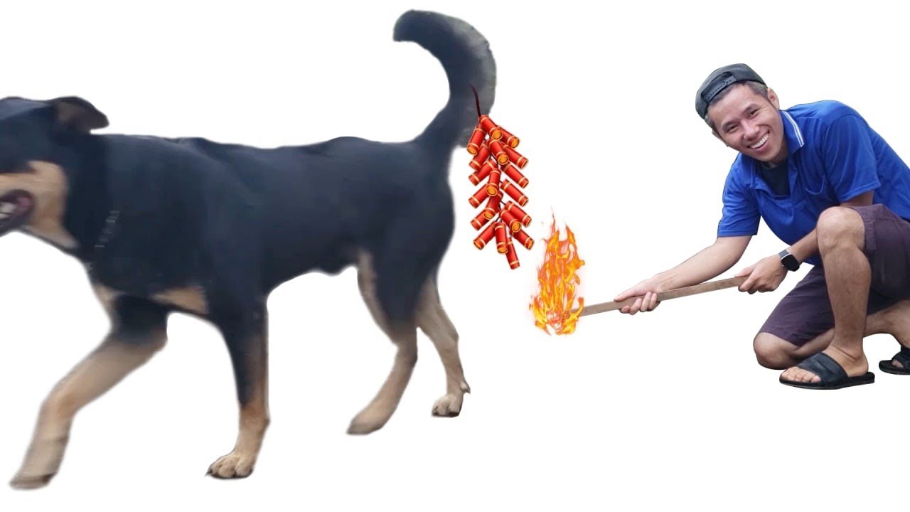 Just for laughs 2022 new, funny video 2022 of 2 brother. Cười bể bụng ...