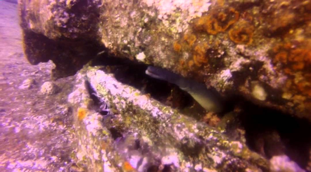 Million hope wreck. Part II - YouTube