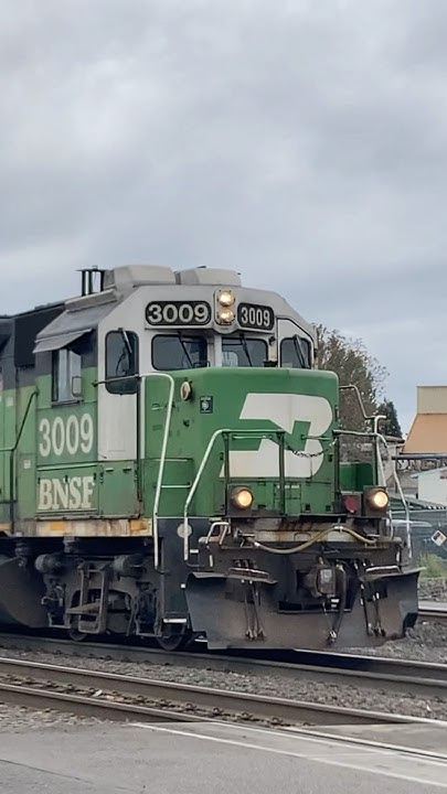 BNSF 3009 - YouTube