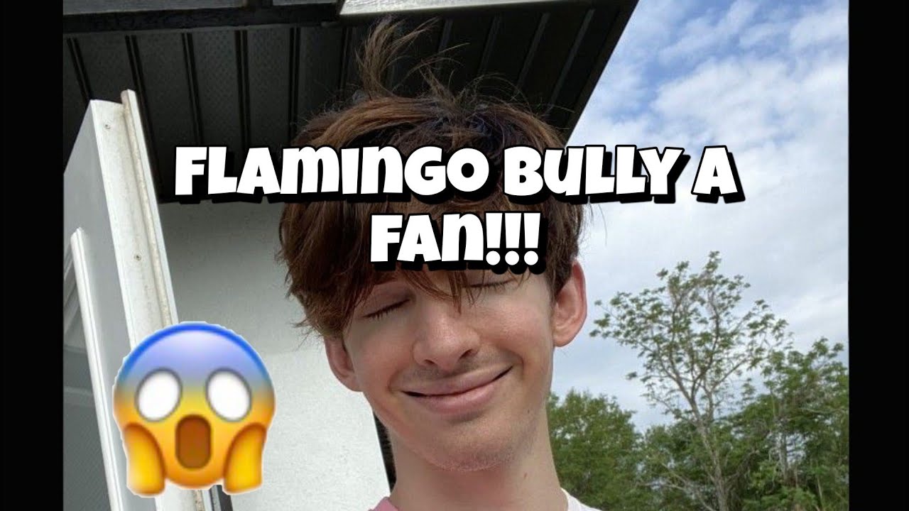 FLAMINGO SUCKS HE IS A BULLY IN REAL LIFE MEAN! (Gone Wrong) - YouTube