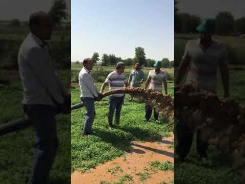 Başarılı sondaj Çalışması