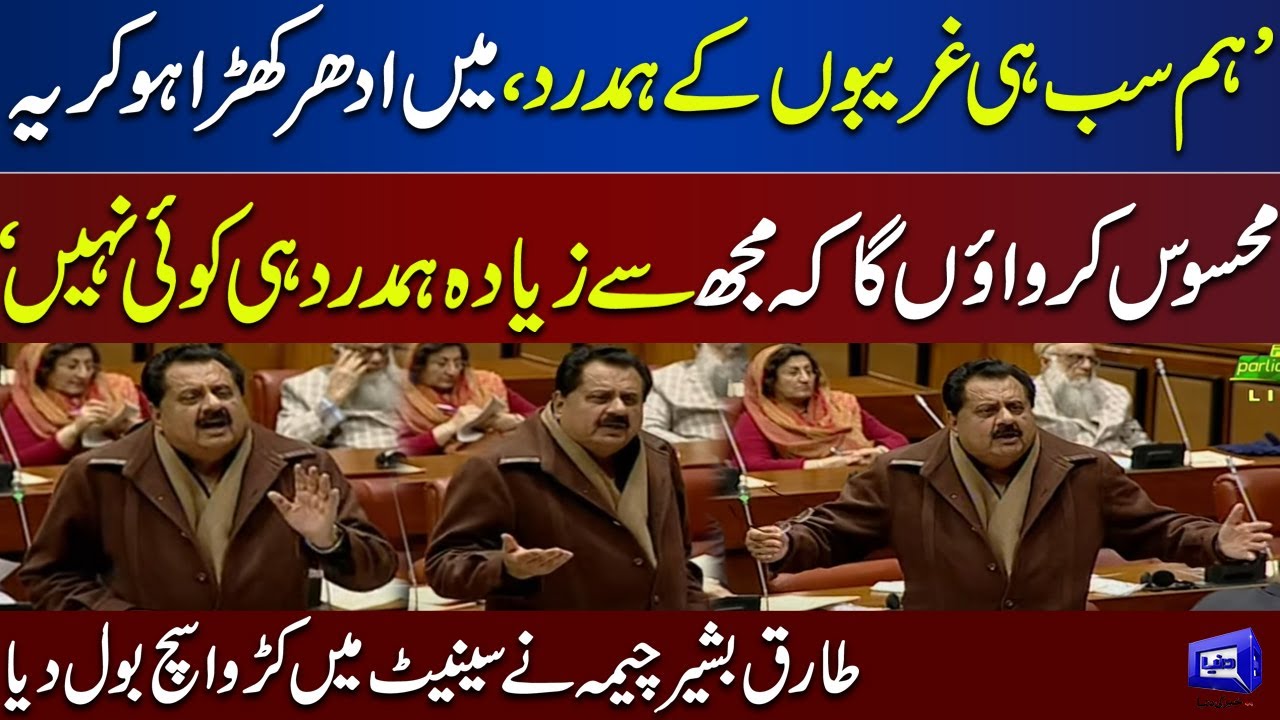 Federal Minister Tariq Bashir Cheema Hard Speech in Senate Session ...