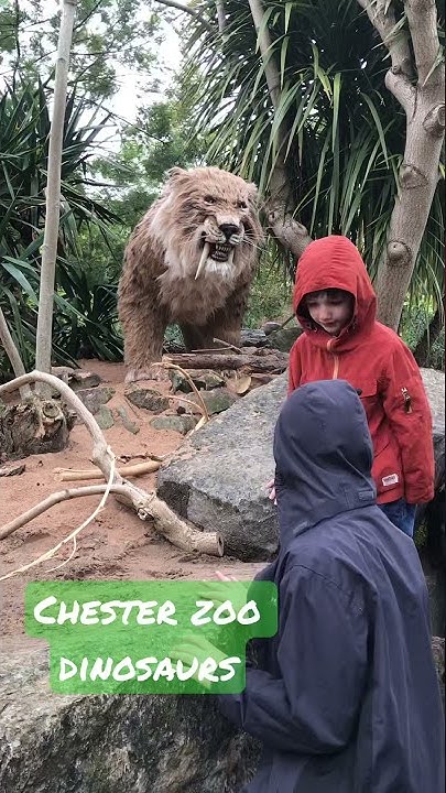 Chester zoo dinosaur area - YouTube