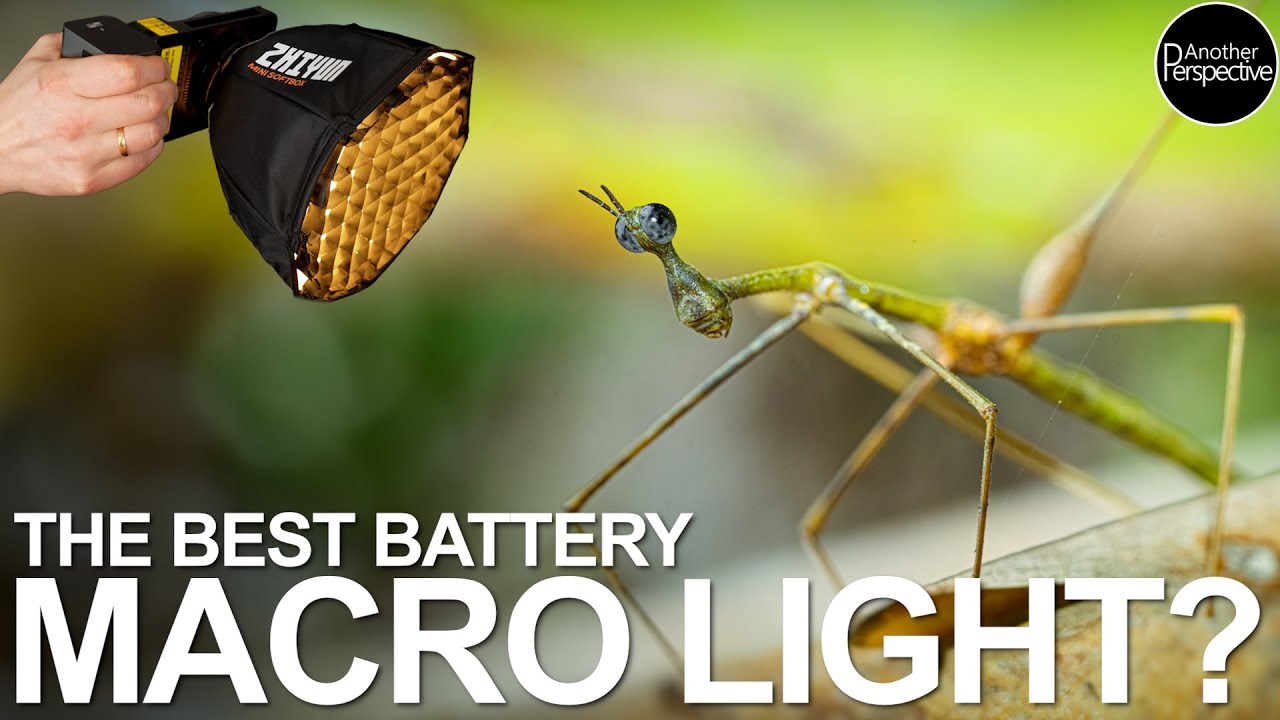 The Best Macro Light I have ever used! ZHIYUN - YouTube