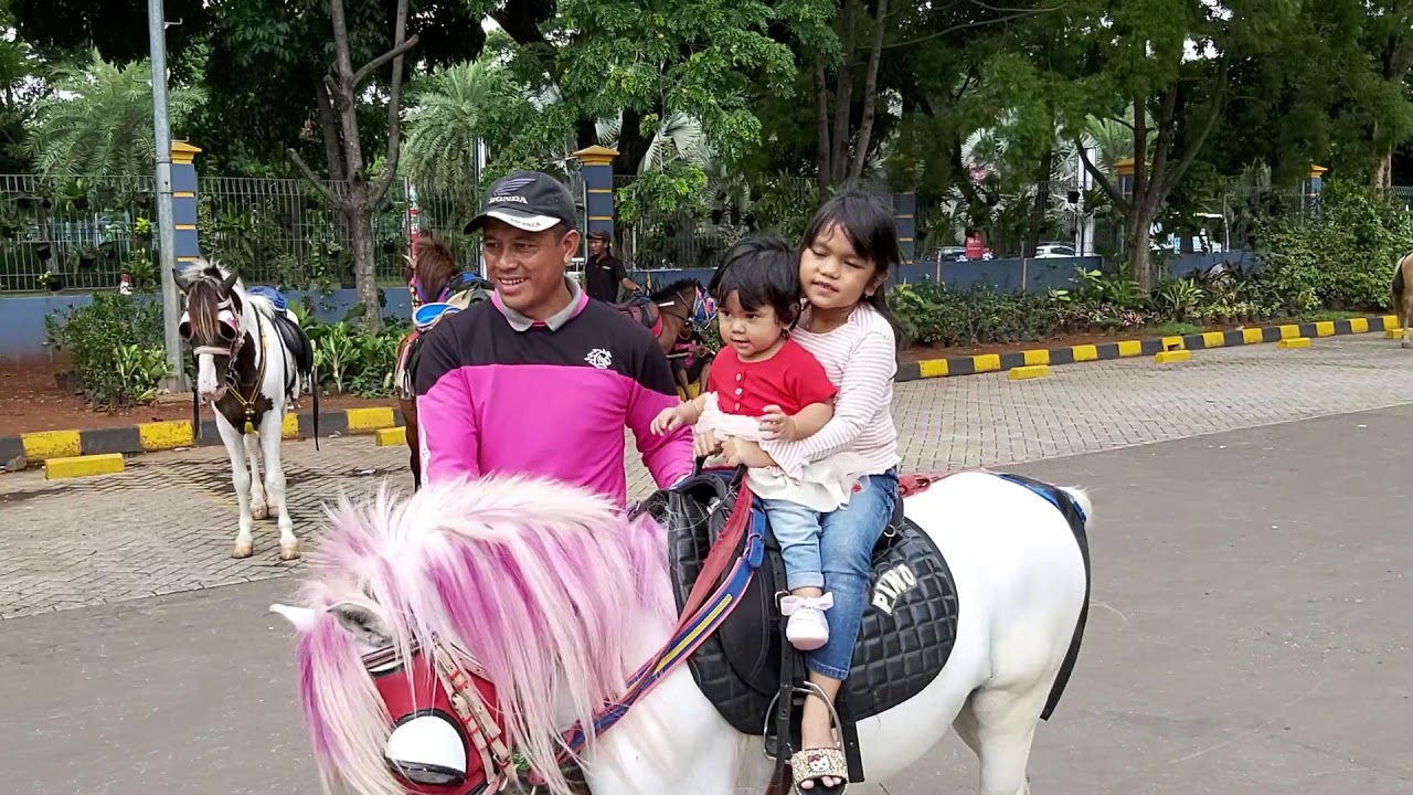 Naik kuda pink - YouTube