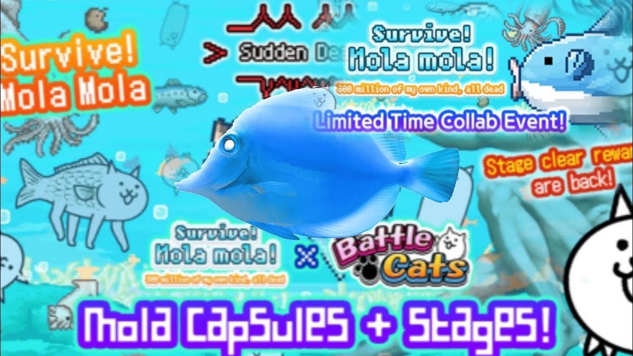 Survive! Mola mola! | THE BATTLE CATS - YouTube