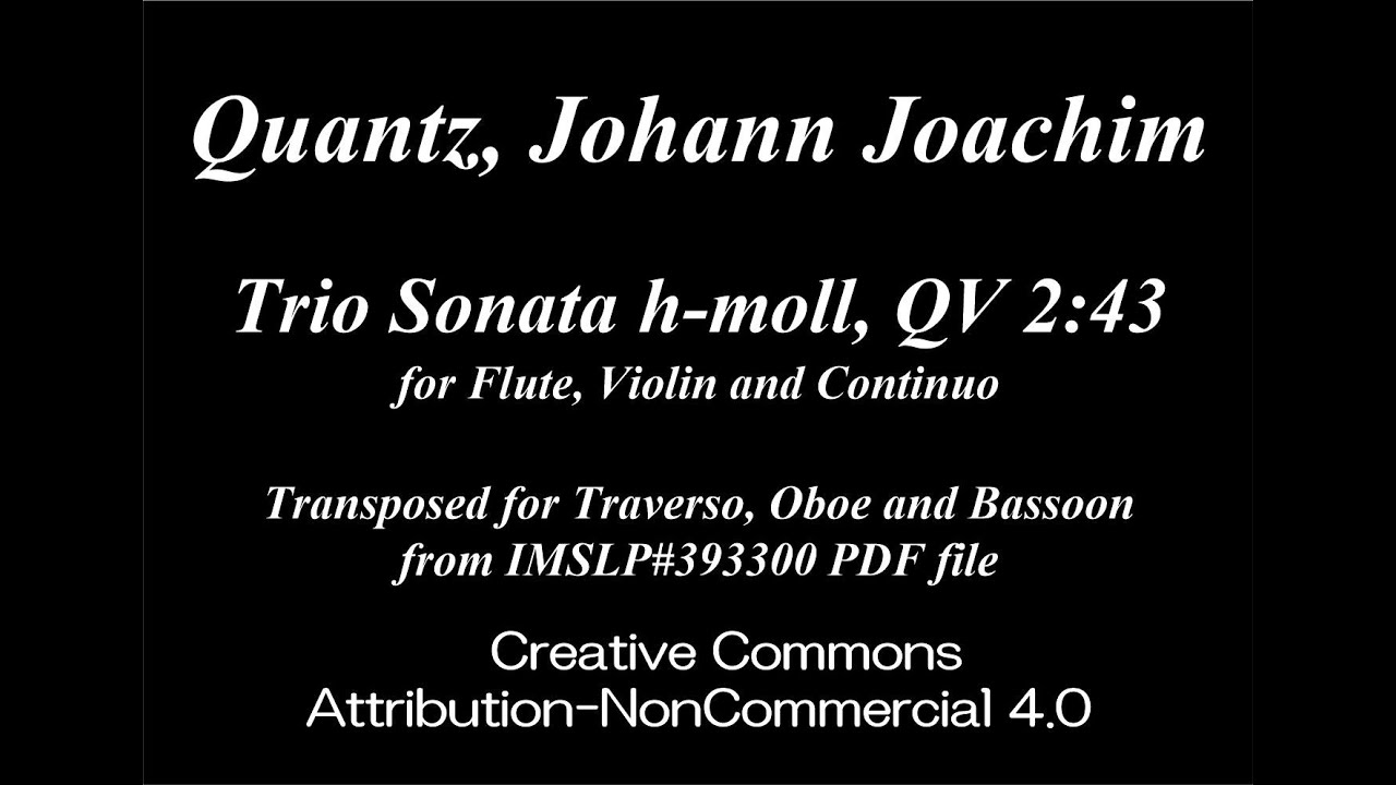 Quantz, J. J. _ Trio Sonata h-moll, QV 2 : 43 [Trv, Ob, Bsn] - YouTube