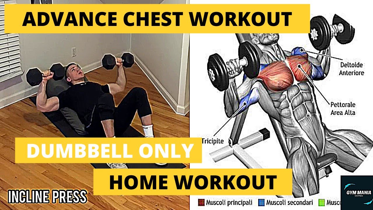 advance chest workout dumbbell only | home workout | Gym mania - YouTube