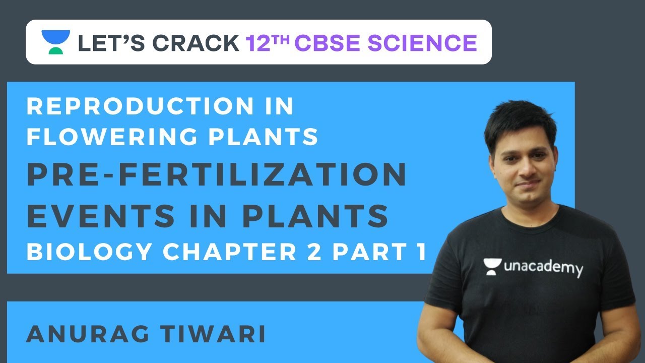 pre-fertilization-events-in-plants-reproduction-in-flowering-plants