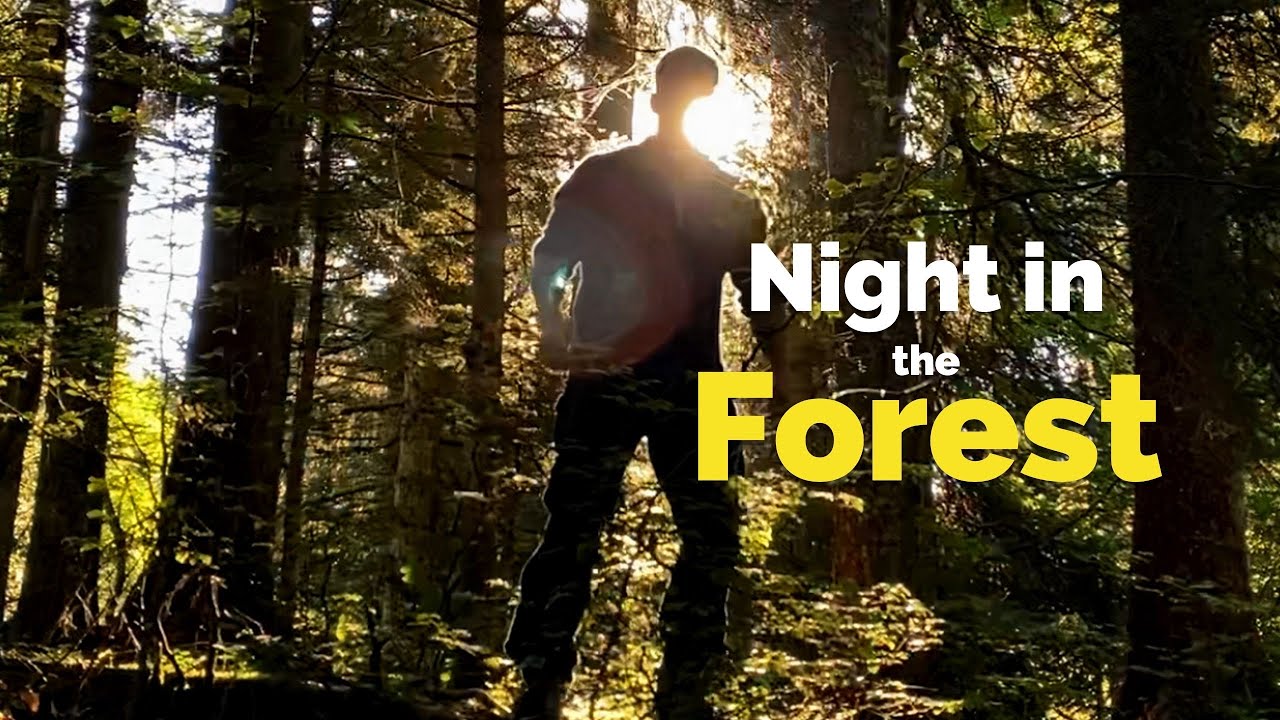 NIGHT IN THE FOREST | preparation of the fire, making a bench ...