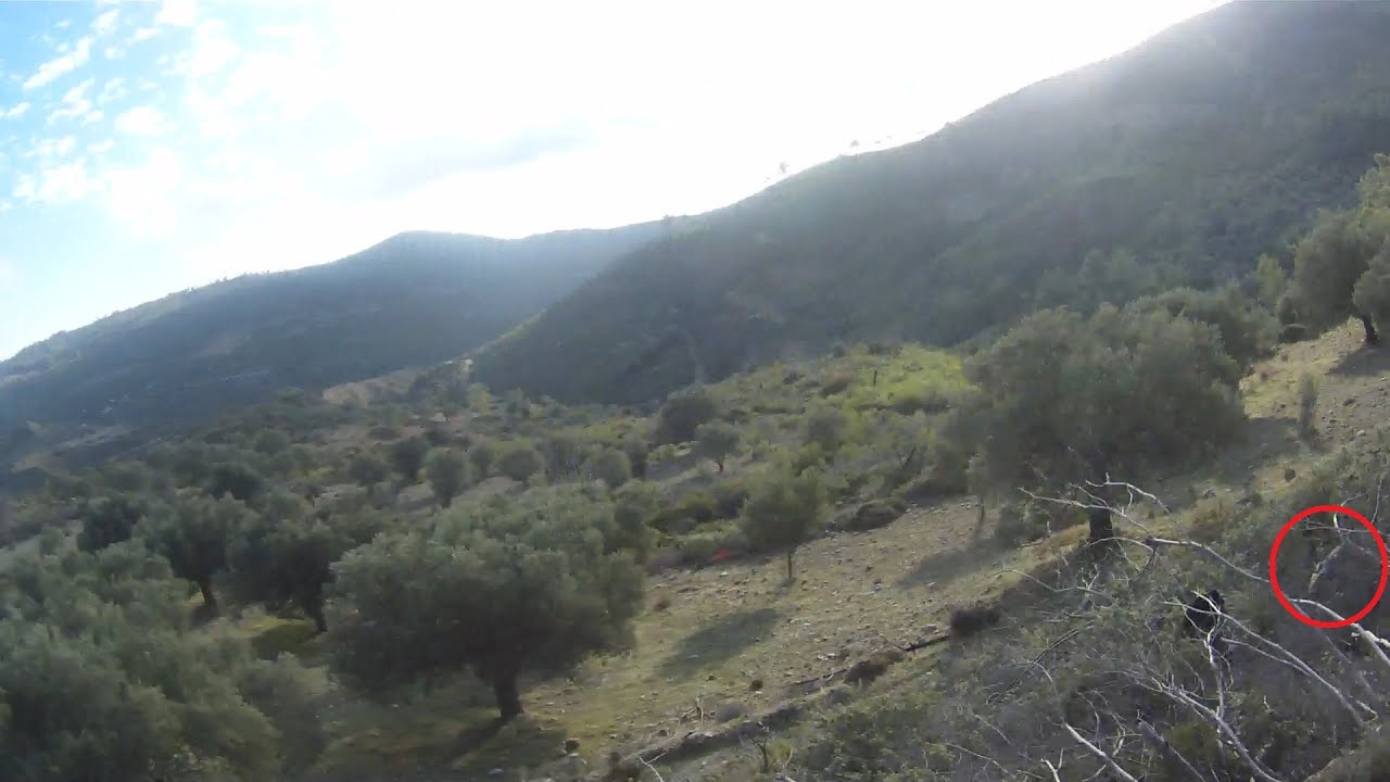 Δικός μου ο λαγός δικιά μου και η τούμπα Κυνηγι λαγου 2019 🤣👍👌🐇🍄 caccia ...