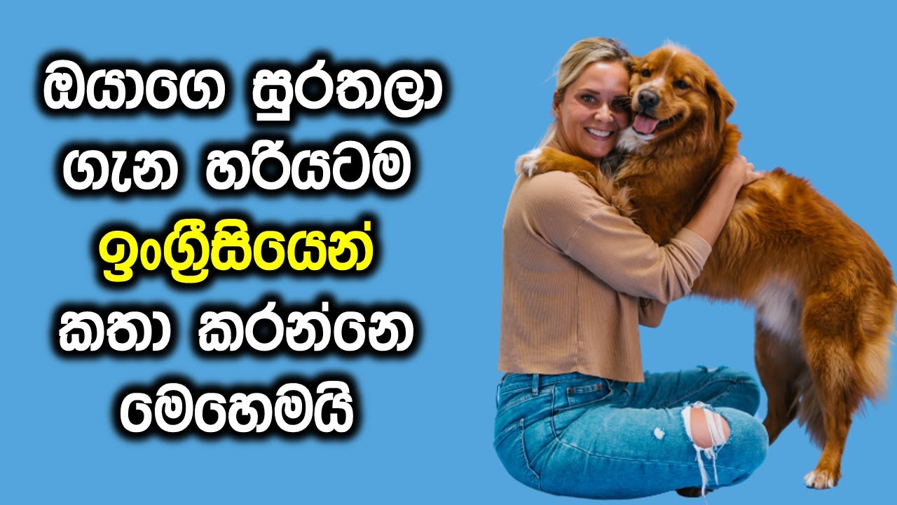Conversation About Pets & Animals | Pet Talk in English | Learn English ...
