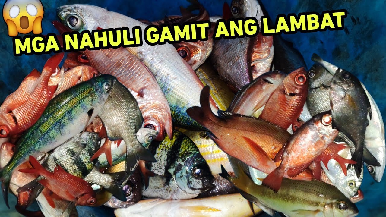 ANG SARAP TALAGA NG SARIWANG INIHAW NA ISDA! - YouTube