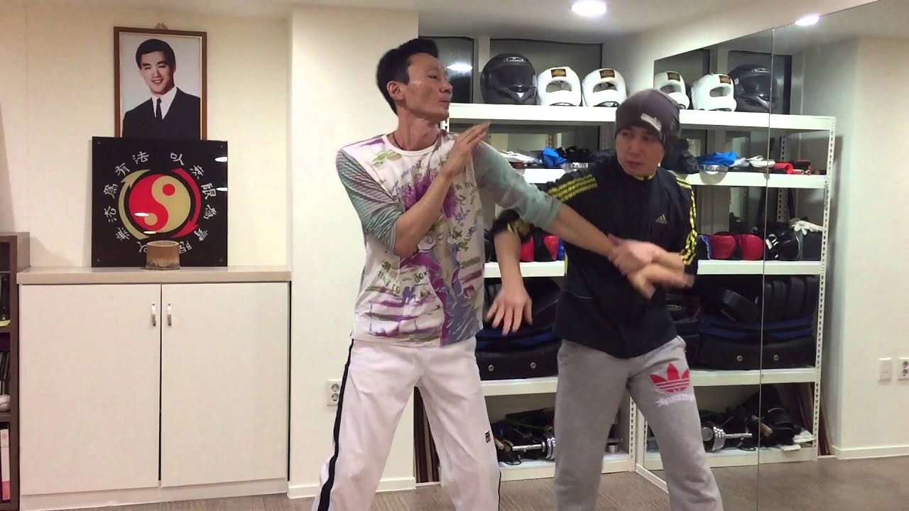 JEETKUNEDO (JKD) KOREA - Necessity of Bridge process & Dummy ...