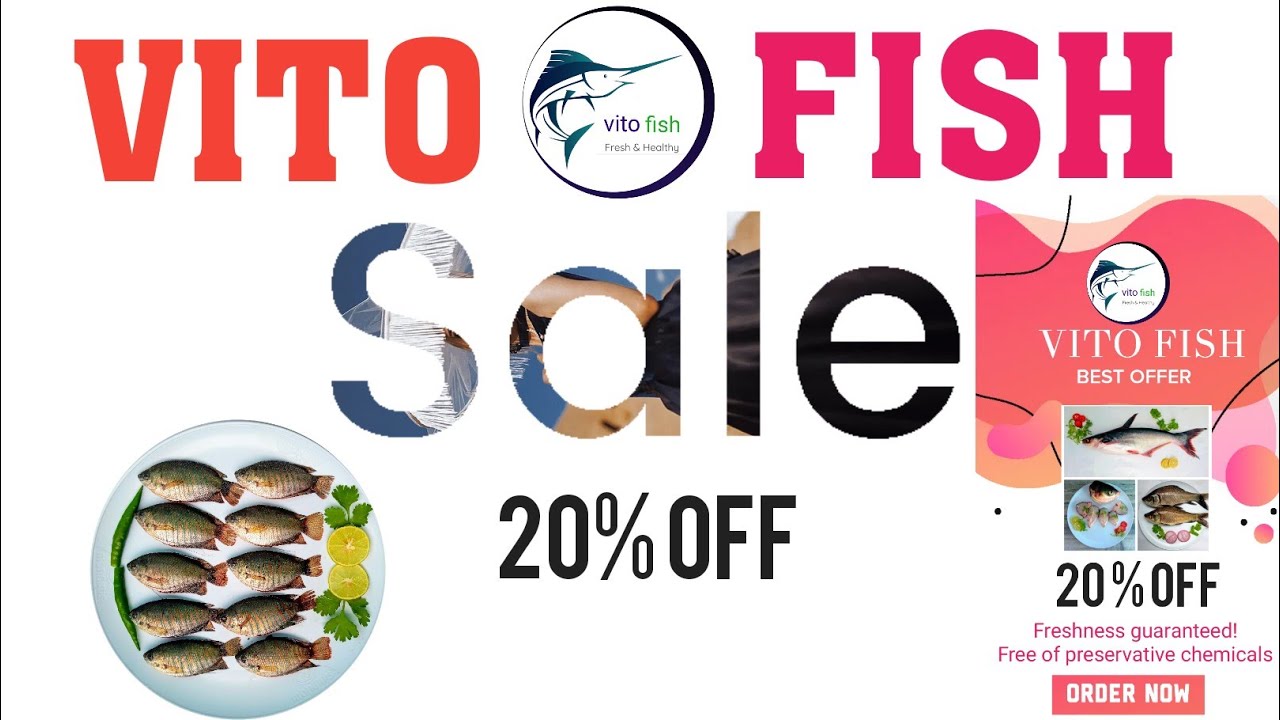 VITO FISH BEST OFFER 20% OFF ORDER NOW - YouTube