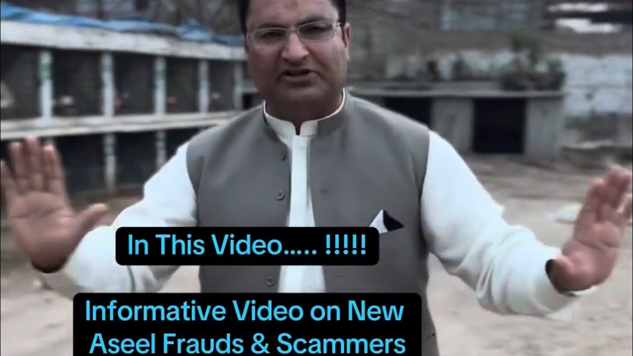 Fraud Alerts: Today Exposed The Big Scammer of Shamoo Business in ...