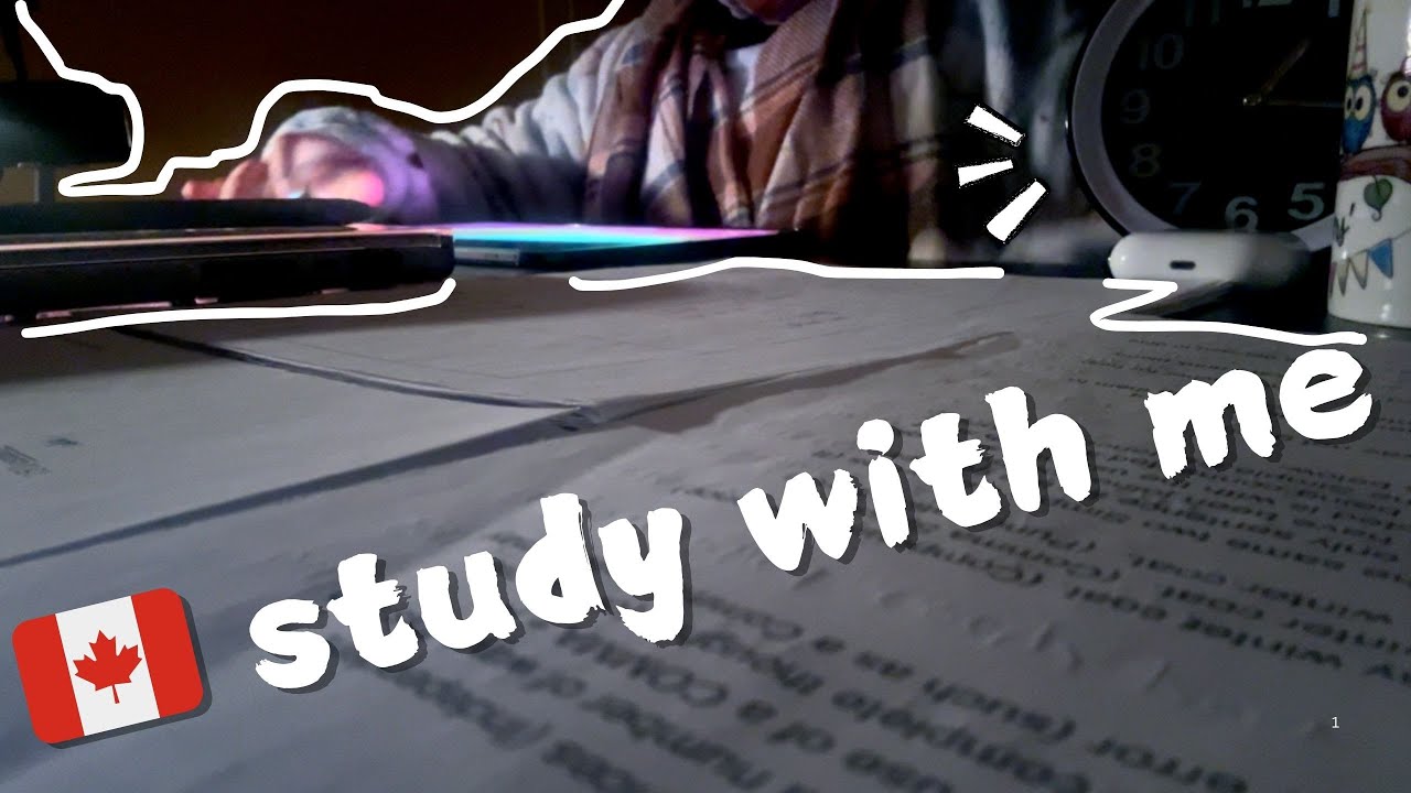 📖 1.5 Hour Focus Session｜Adorable Lofi Beats & Gentle Rain Sounds｜Relaxing Study Ambience 🌧️ ...