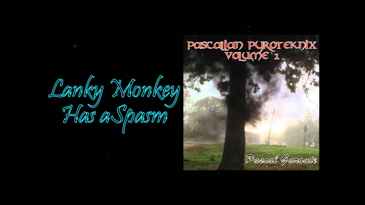 Lanky Monkey Has A Spasm - Pascal Garoute (New Electronic Music!) - YouTube