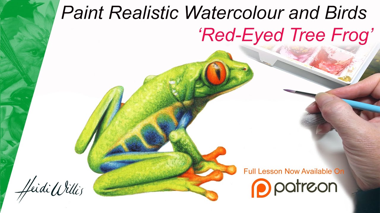 RED-EYED TREE FROG TUTORIAL INTRO - Paint Realistic Watercolors - YouTube