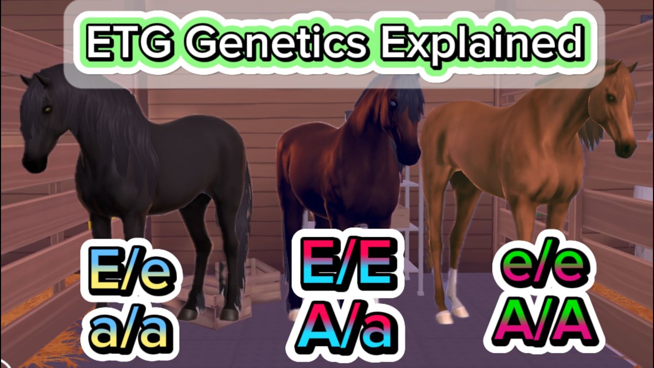 This is how Genetics work in ETG! 🎨 - Tutorial on Genetics Equestrian ...