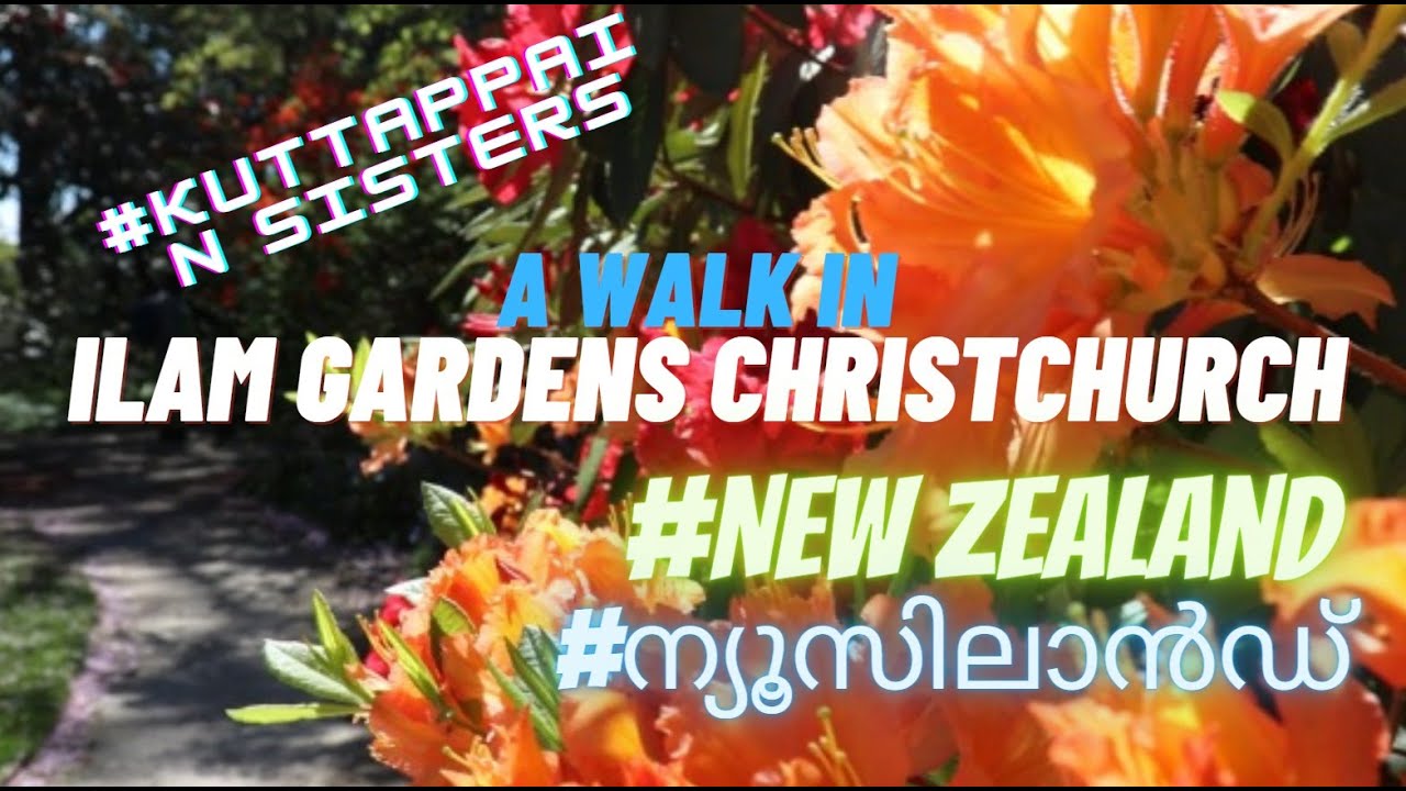 Walk in the Ilam gardens | New Zealand | Kuttappainsisters | Ilam ...