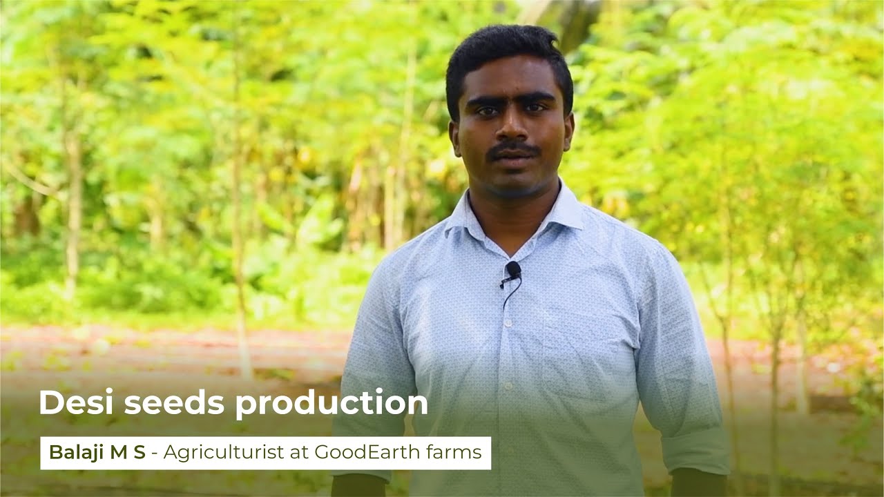 GoodEarth Farms: Desi seeds production - YouTube