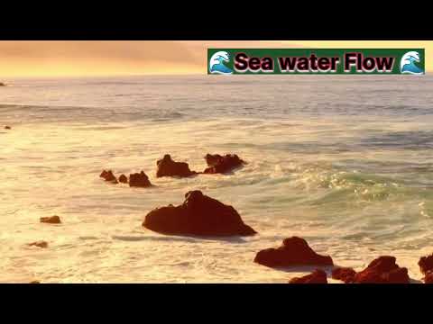 🌊Waves Short Cinematic video 🌊#sea #shortvideoviral #amazing #shortvideo #shortsyoutube #shorts