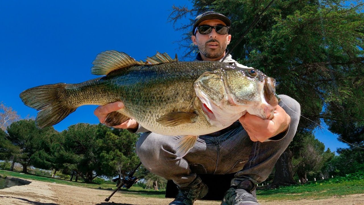 Bass of a Lifetime from a Pond in Los Angeles ! (Megabass Sleeper Craw ...